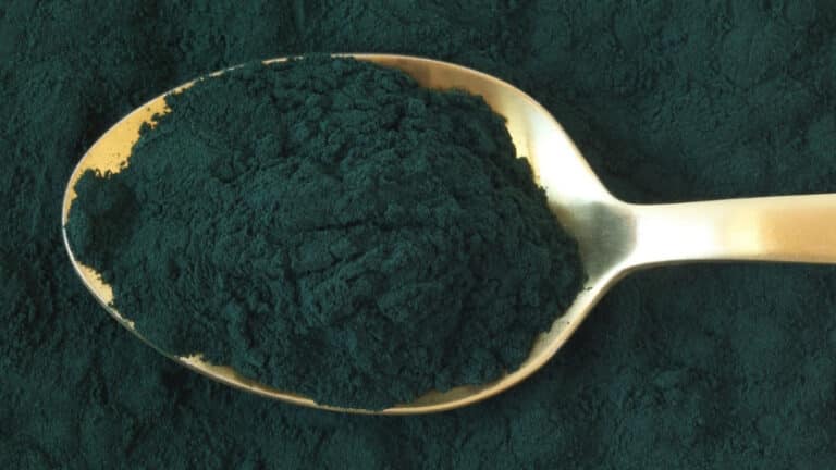 💚 Naturkosmetik mit Algen – Diese 8 Produkte sind die Testsieger!